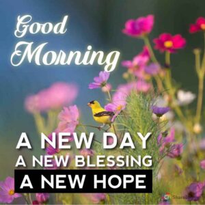 Good Morning Refreshing Quotes with Beautiful words for Happy