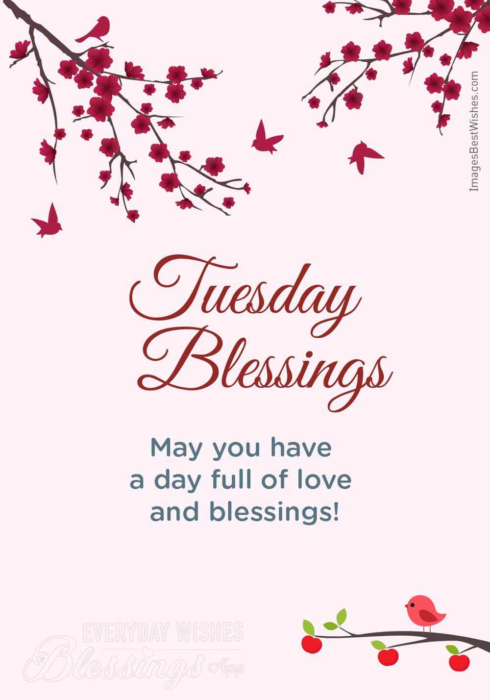 Start Your Day with Tuesday Blessings Beautiful Good Morning. - Best ...
