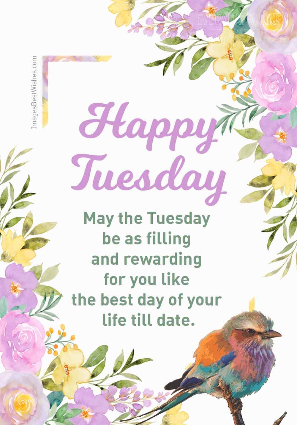 Start Your Day with Tuesday Blessings Beautiful Good Morning. - Best ...